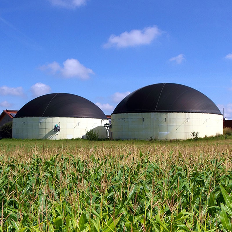 Biogas Domes Plant Manufacturers and Supplier in India - Biogas Balloon ...